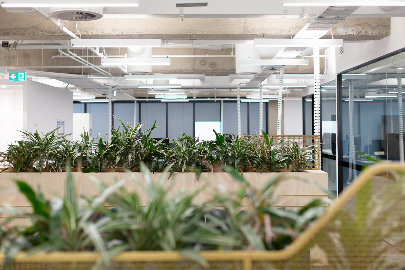 What Are The Benefits Of Sustainable Office Designs? - Davidson Projects